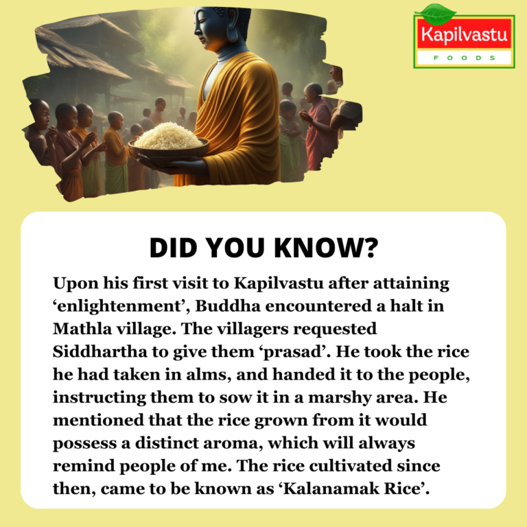 Kalanamak Rice (Buddha Rice) - Kapilvastu Foods